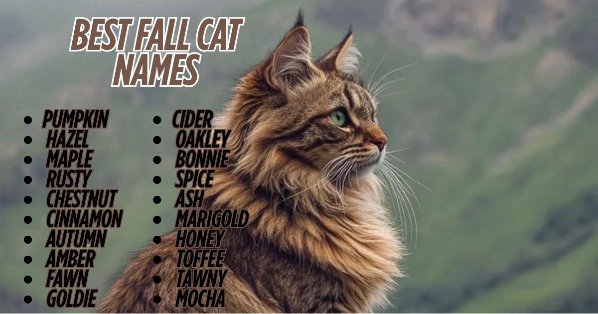 1400+ Best Fall Cat Names (Cool And Catchy Ideas) 2025