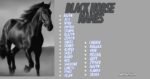 1400+ Cool Black Horse Names For Your Beautiful Horse 2025