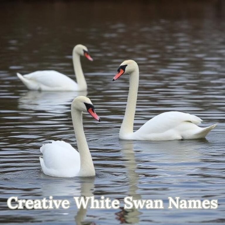 600+ Beautiful and Unique Swan Names for Your Graceful Friend